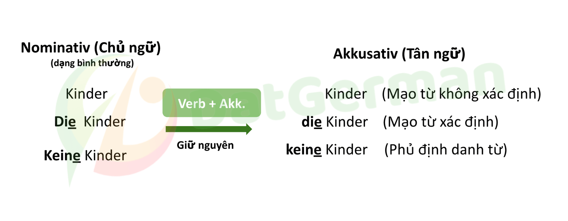 Dativ - Akkusativ - Nominativ | Biến Cách Trong Tiếng Đức A1